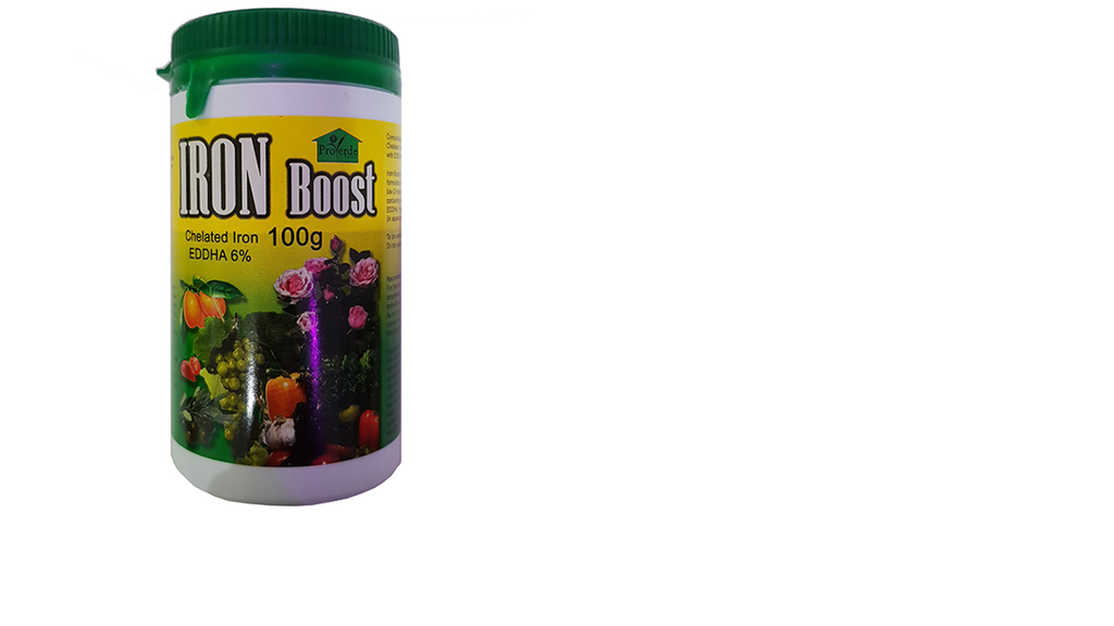 IRON BOOST 100G - PROVERDE – Xerri's Garden Centre